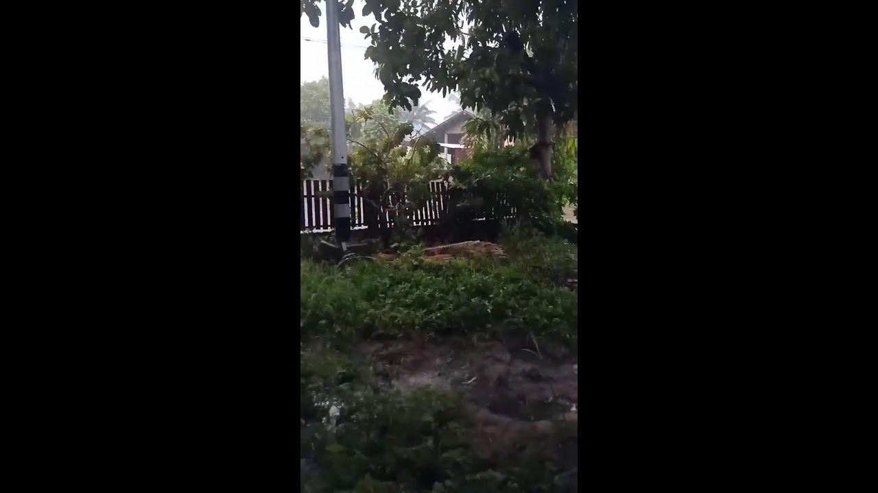 Kanokwan Sommakettarin Videos #27 - YouTube