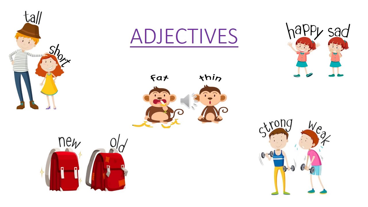 ADJECTIVES - YouTube