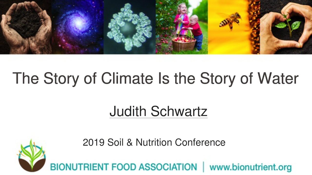 Judith Schwartz: The Story of Climate Is the Story of Water | 2019 Soil ...