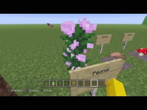 AS FLORES E OS BIOMAS E A VEGETAÇÃO DO MINECRAFT !!! - YouTube