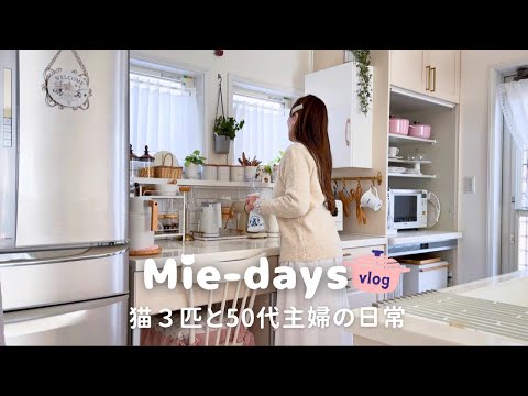 3 kediyle sakin bir gün｜Yemek ve masa düzeni