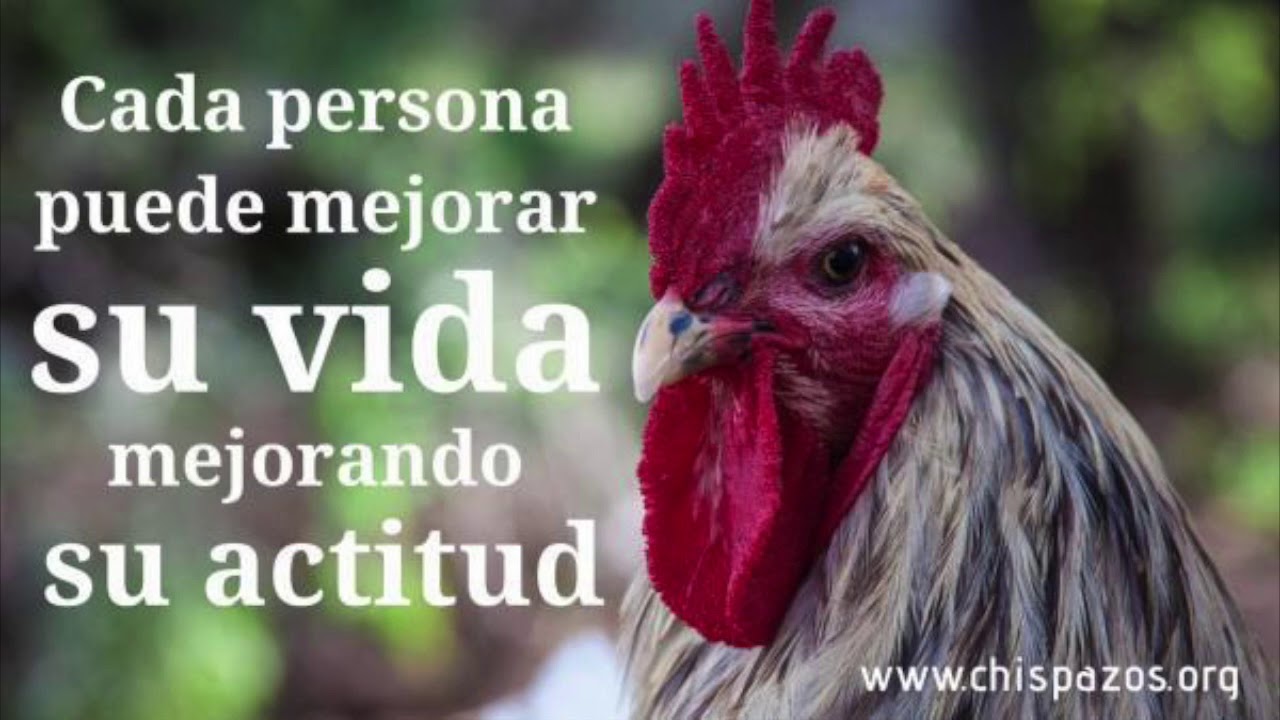 Cada persona puede mejorar su vida mejorando su actitud - YouTube