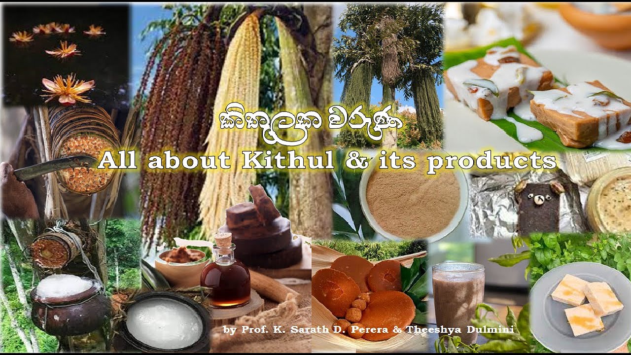 All about Kithul Products| කිතුලක වරුණ‍ #Kithul #Treacle #jaggery # ...