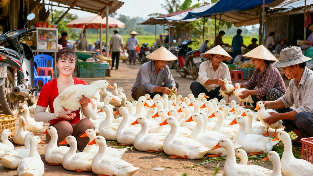 Harvesting Rare Giant Ducks After 3 Months of Raising, Goes to Market ...
