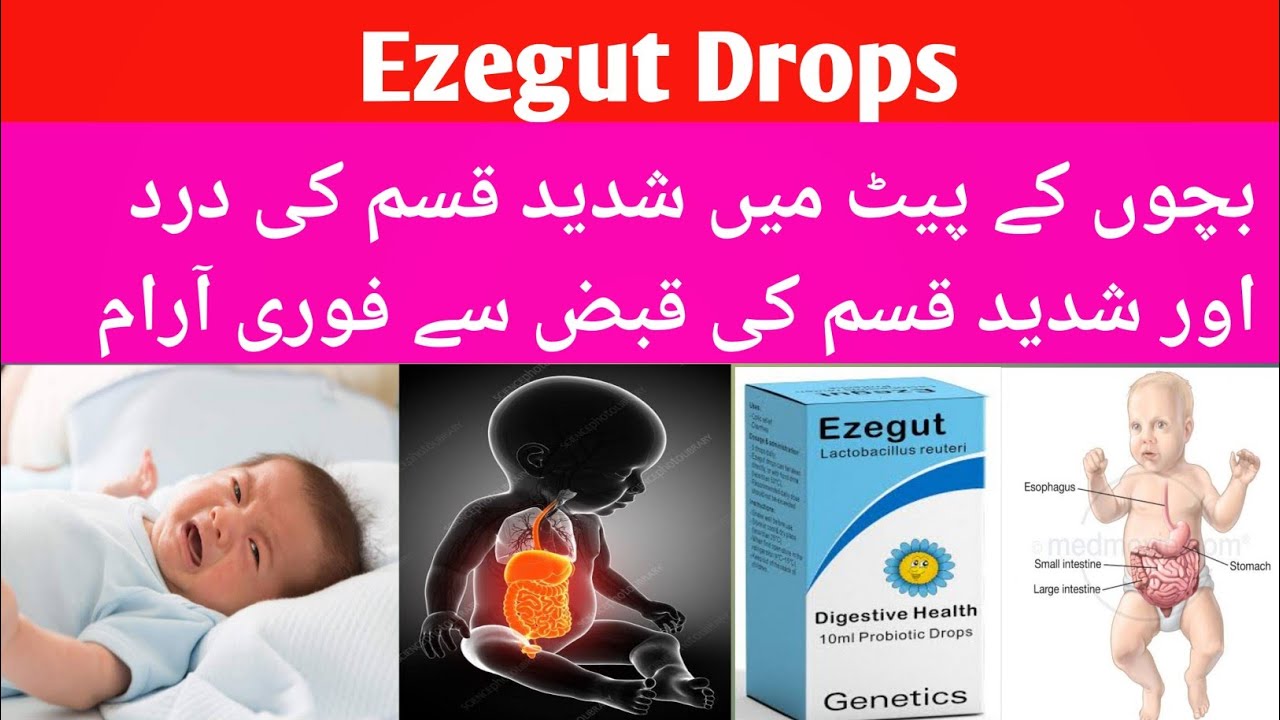 Ezegut Drops | Important information Lactobacillus | - YouTube