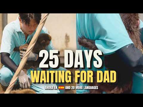 25 Days. And Then Shikano Knelt Down And Punch Refused.