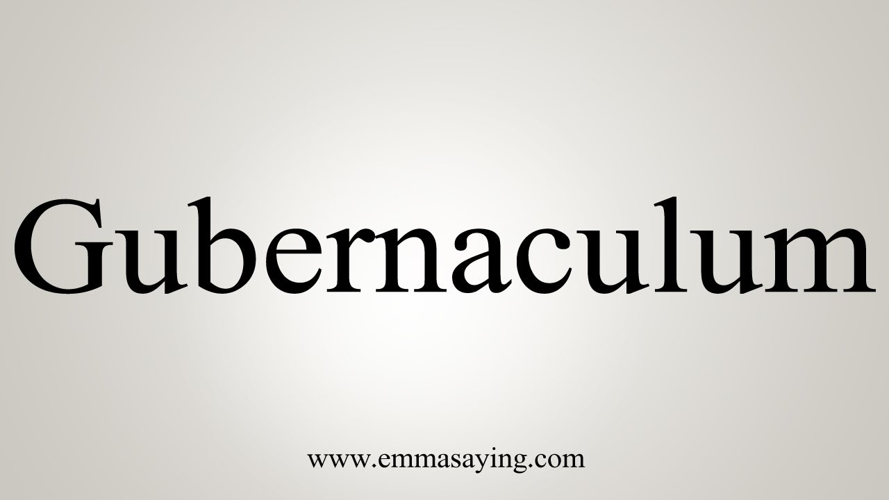 Gubernaculum