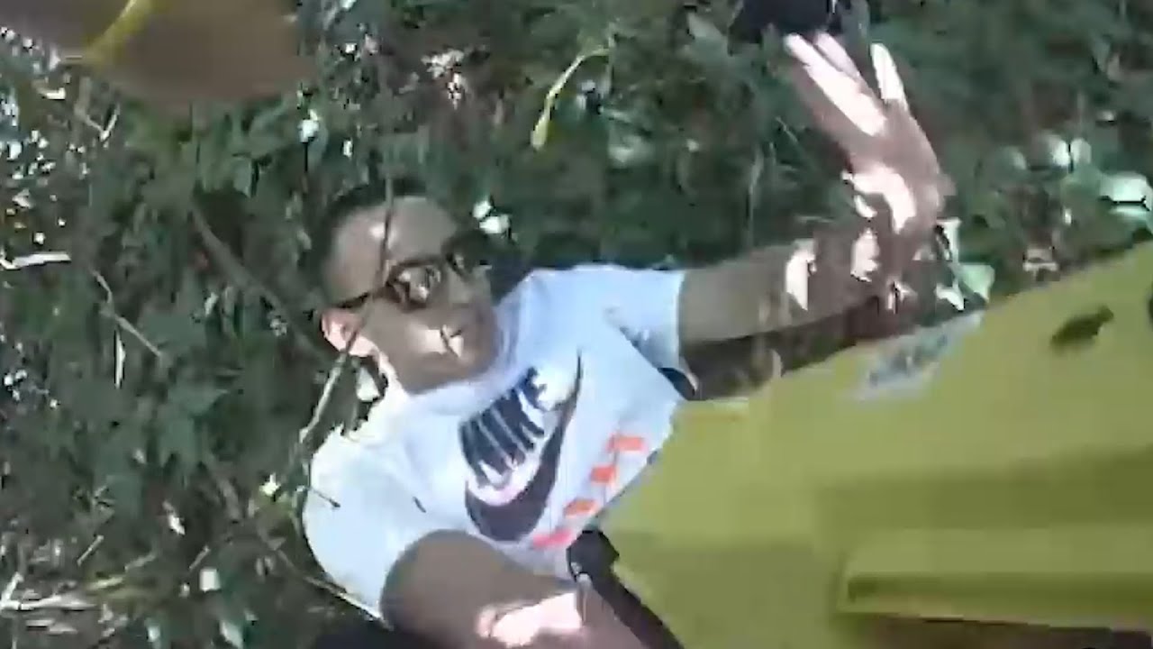 Dude Gets Zapped After Running From Police - YouTube