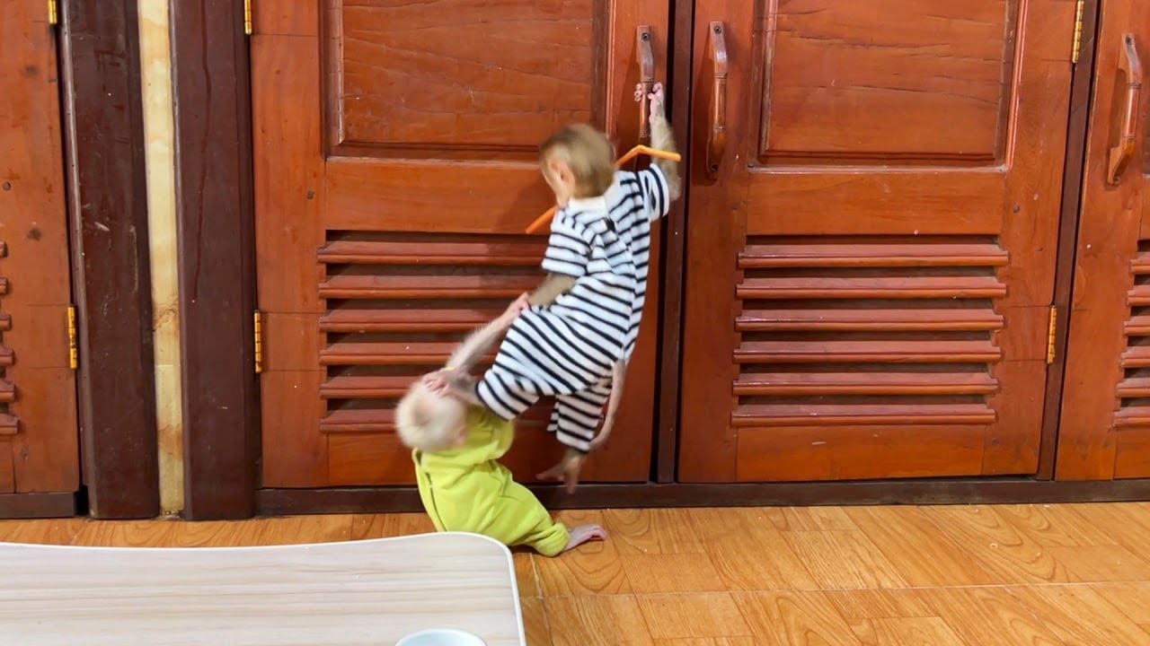 PHHH Godnedd Naugh-Ty Yuri Kick Minea On Her Face Make Minea F@ll ...