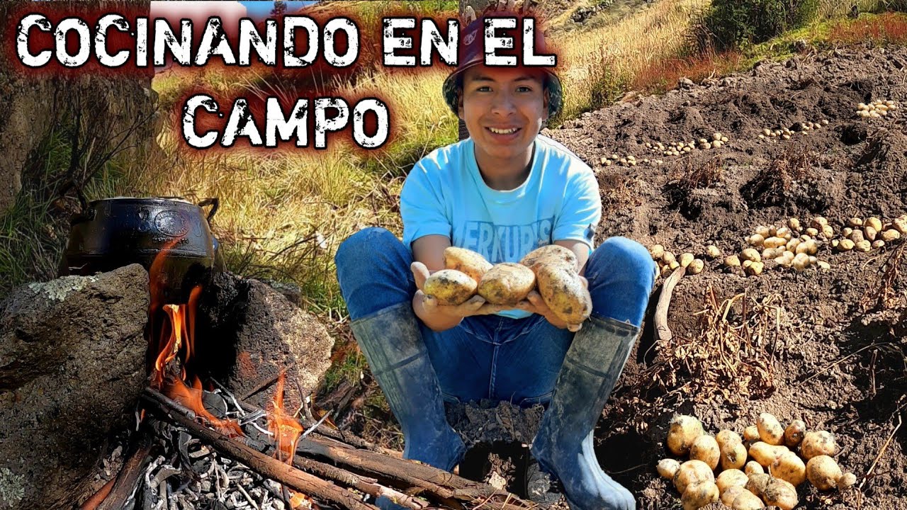 COSECHANDO PAPAS EN EL CAMPO Y COCINANDO EN El CAMPO - YouTube