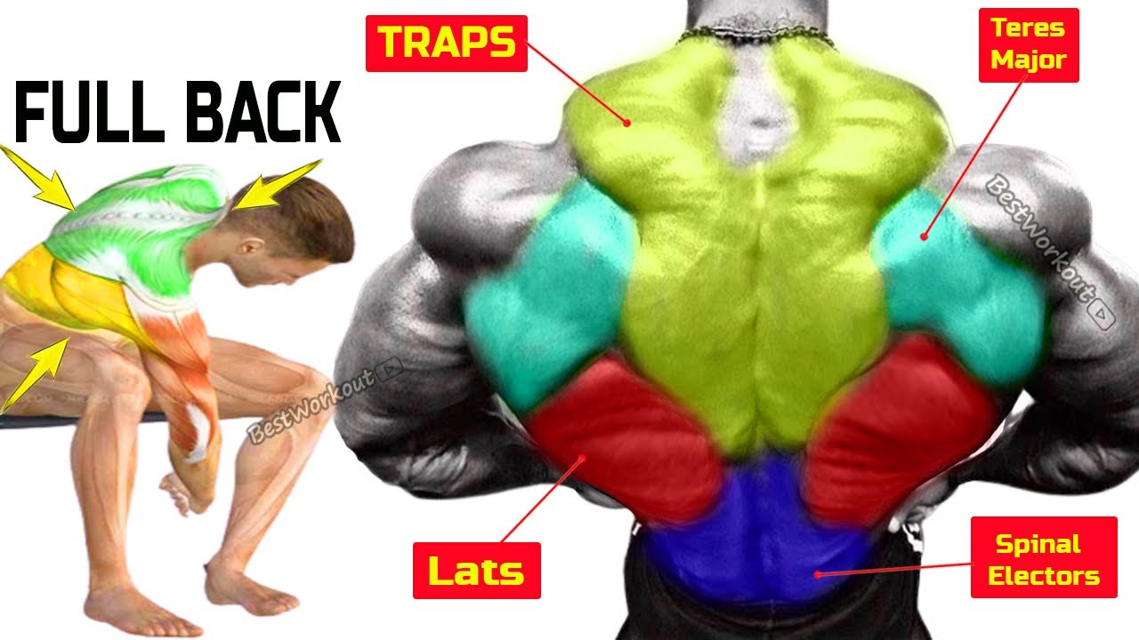 Shape Your Back Like a Pro : A Workout to Target Lats ,Traps ,Lower ...