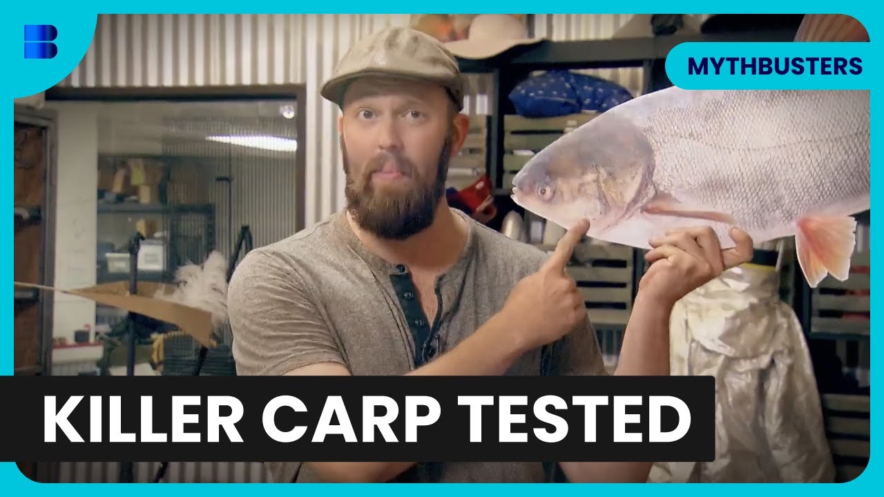 Killer Carp Myth - Mythbusters - Science Documentary - YouTube