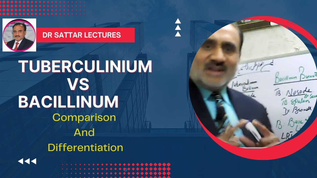 BACILLINUM -VS- TUBERCULINUM ( Comparison & Differentiation) - YouTube
