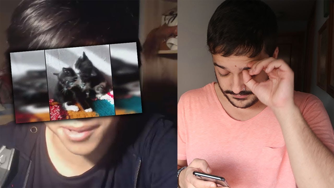 Peluchin Entertainment, el m*ltratador de gatos Youtuber - YouTube