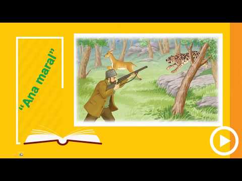 5-ci sinif Azərbaycan dili - \