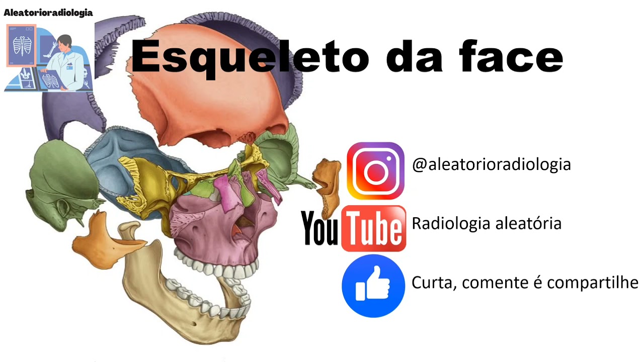 Esqueleto da face. - YouTube