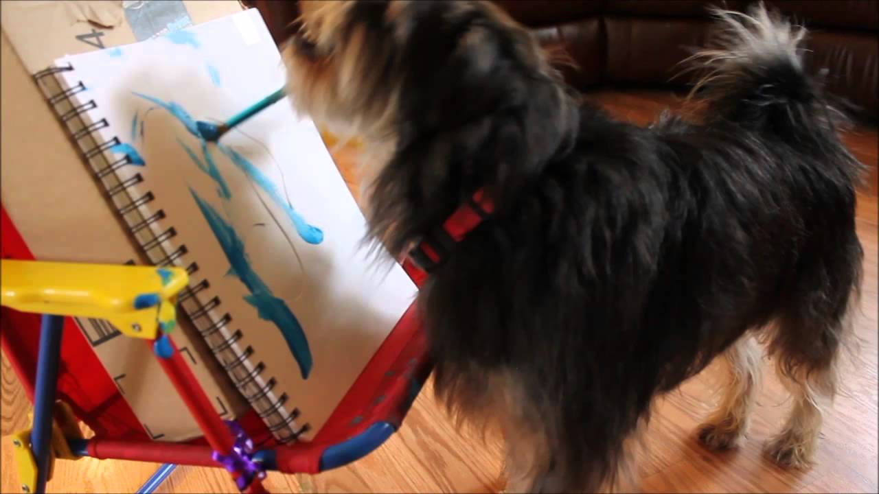 Amazing dog Koby plays music instruments and paints. - YouTube