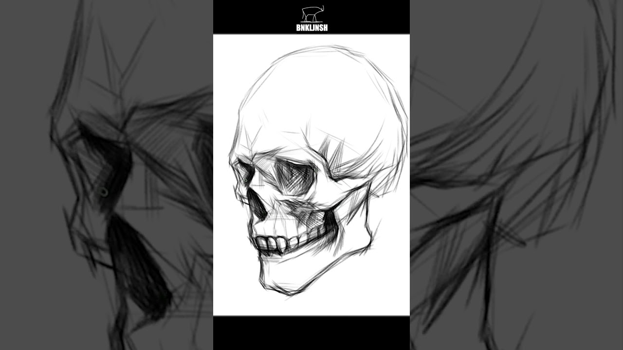 Drawing skulls using a pen display and KRITA - YouTube