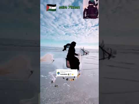 Masha Allah beautiful hijab girl power #power #respect #trend #7viral