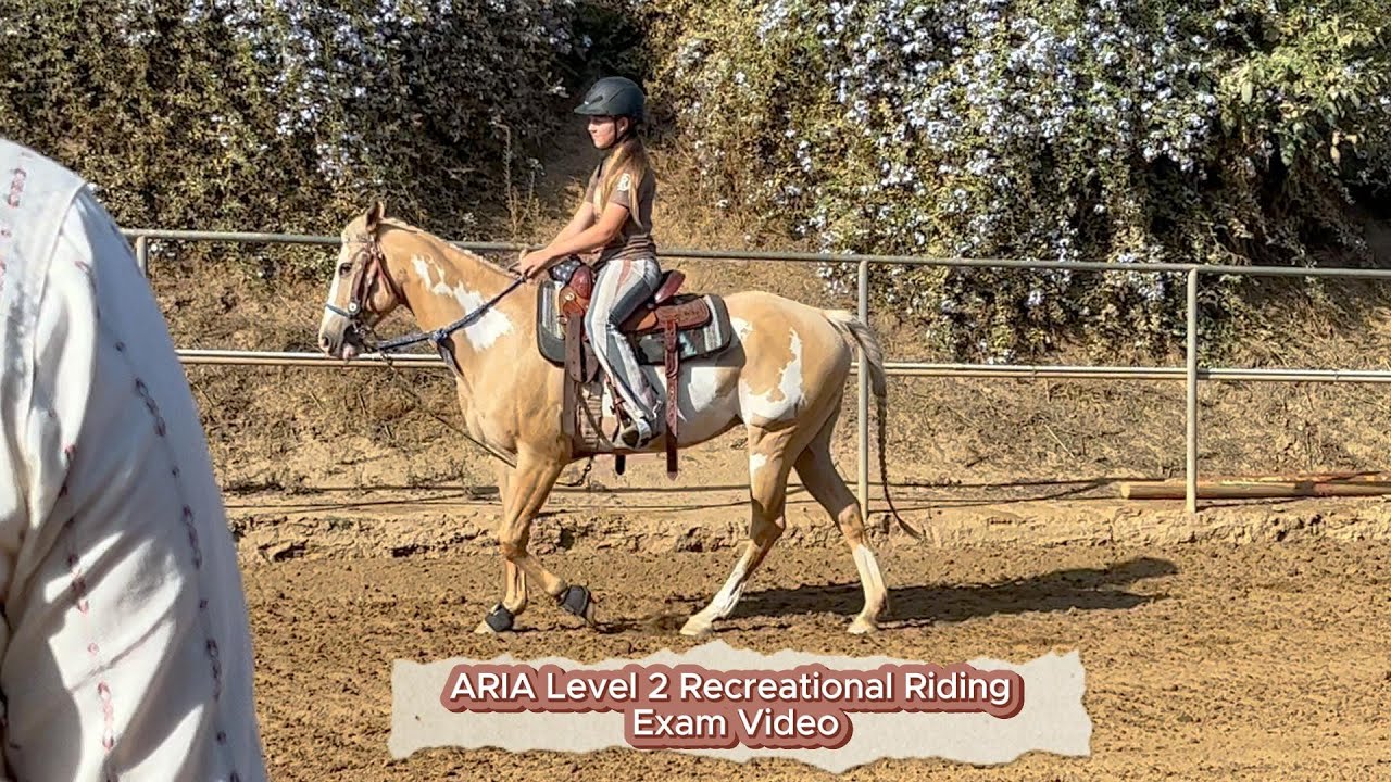 ARIA Level 2 Recreational Riding Exam - Nicolette Lopez - YouTube