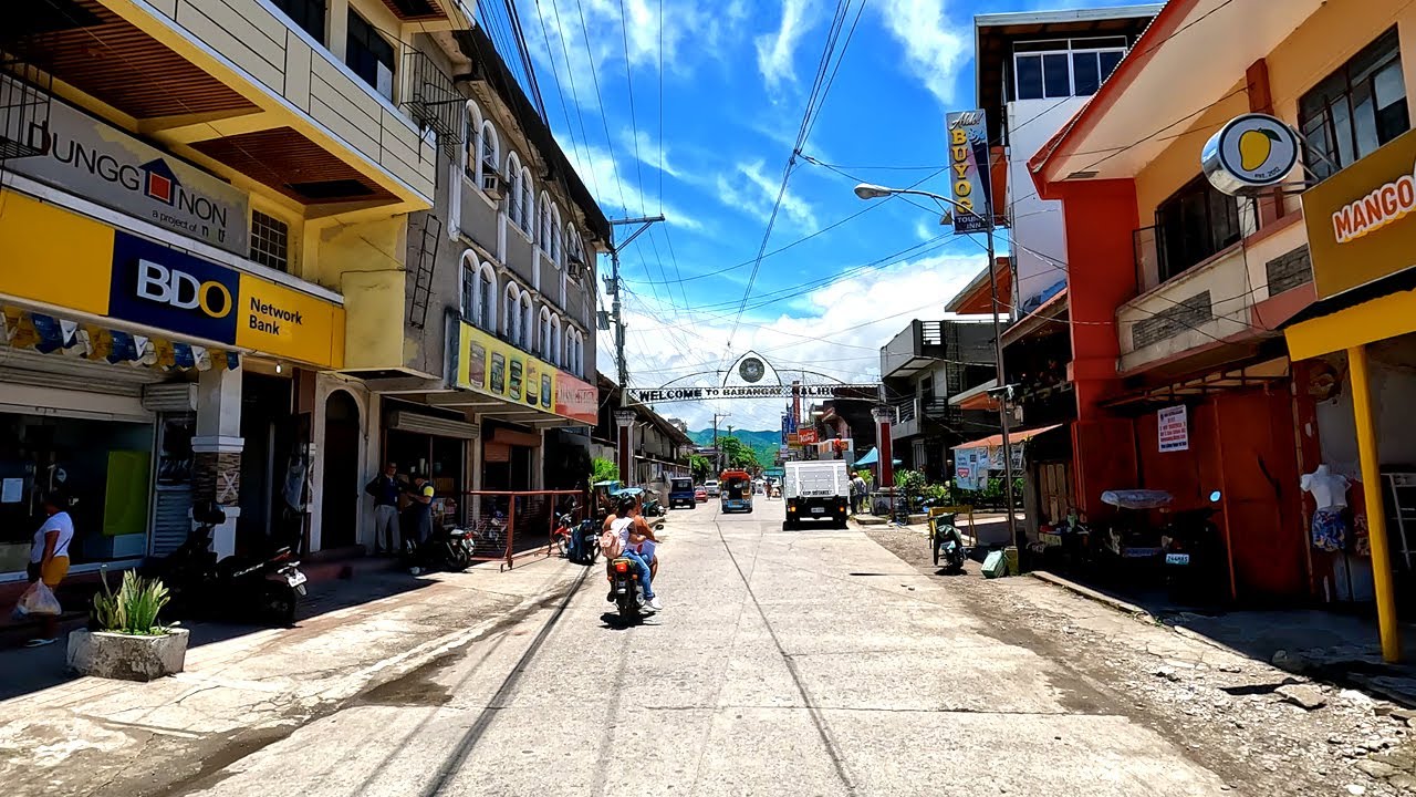 Brgy. Nalibunan and Abuyog Public Market tour - Abuyog Leyte #abuyog # ...