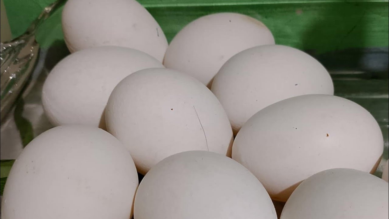 #AMAZING DUCK EGG #CRACKING#EXOTIC BALUT - YouTube