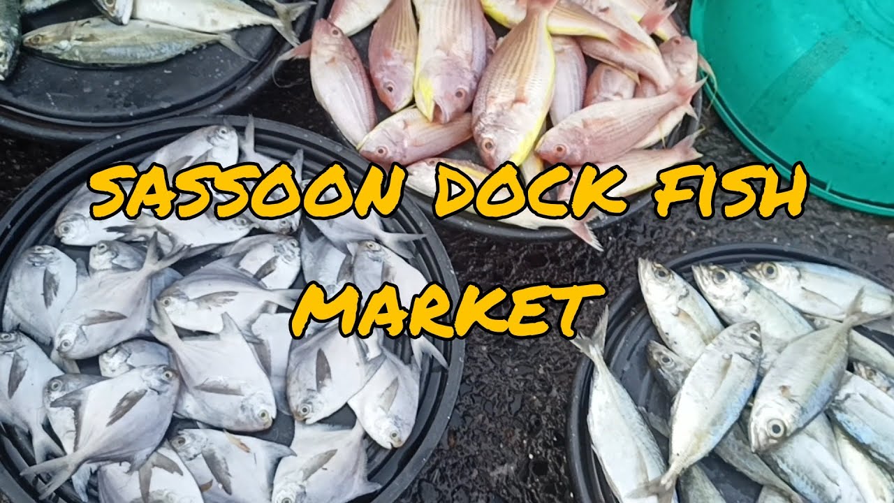 sassoon dock fish market #fishing market Mumbai Colaba - YouTube