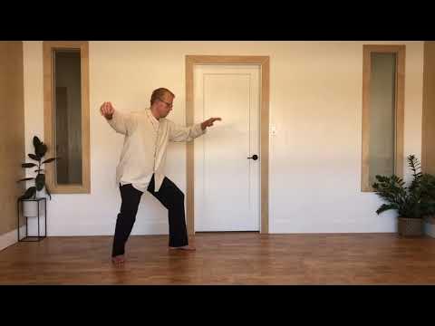 Yang Family Tai Chi 108 Form Demo - YouTube