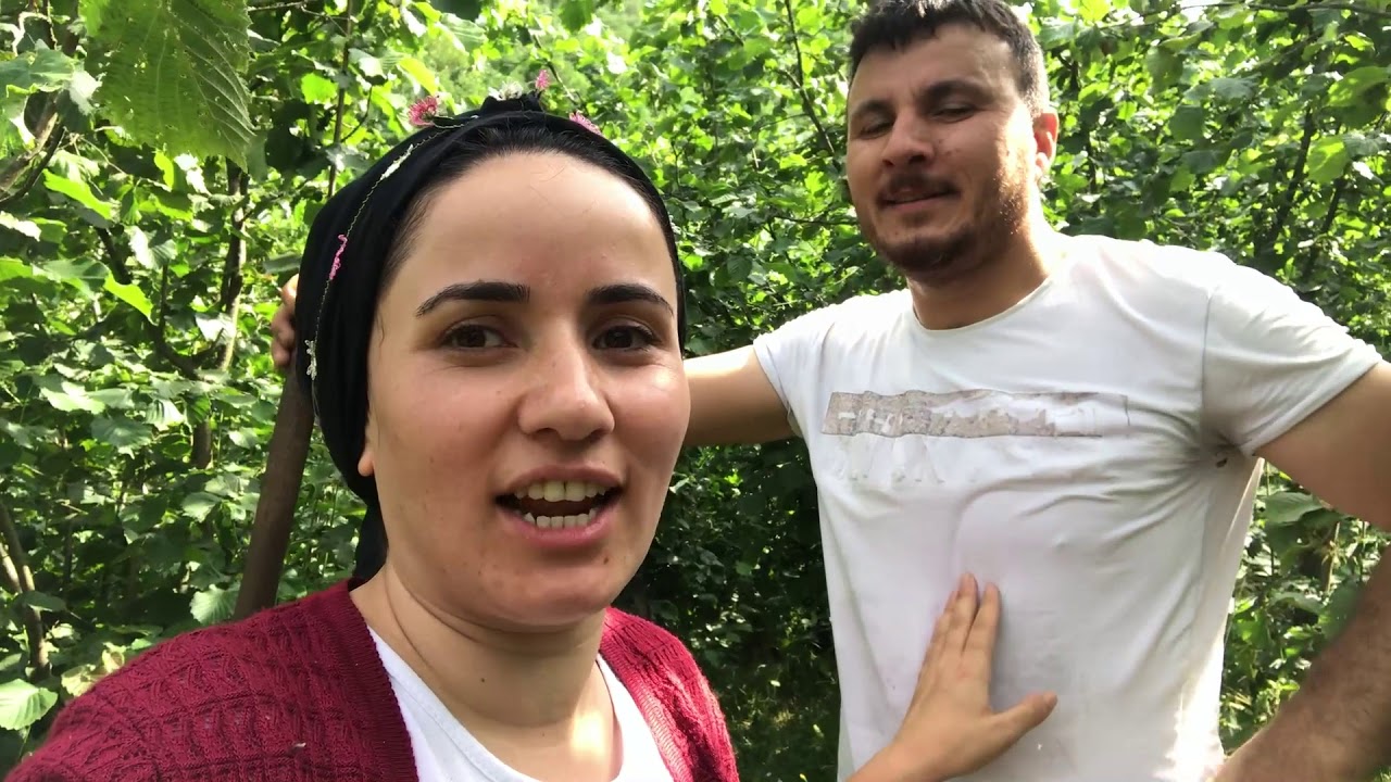 Fındık bahçesinde ÜNLÜ OLDU | Ordu | FINDIK BAHÇESİ - YouTube