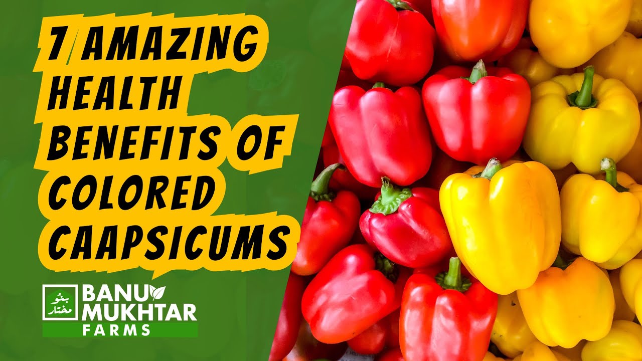 7 Amazing Health Benefits of Coloured Capsicums - Sweet Bell Peppers ...