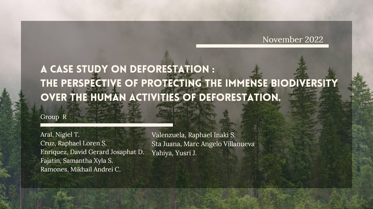 A Case Study on Deforestation The Perspective of Protecting the Immense ...