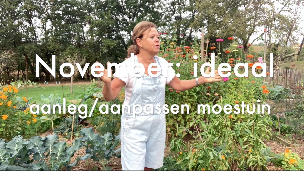 Ini's Moestuin #120 November: moestuin aanleggen/aanpassen & kleinfruit ...