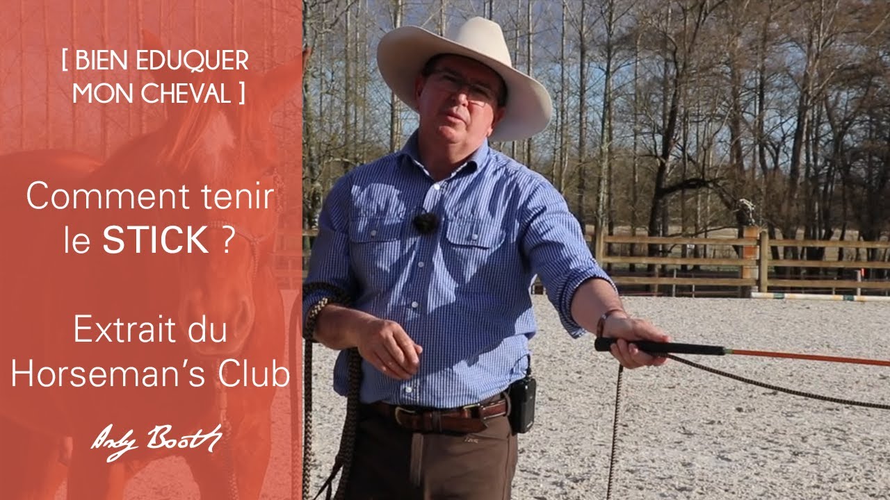 [BIEN EDUQUER] Comment tenir mon stick correctement ? - YouTube