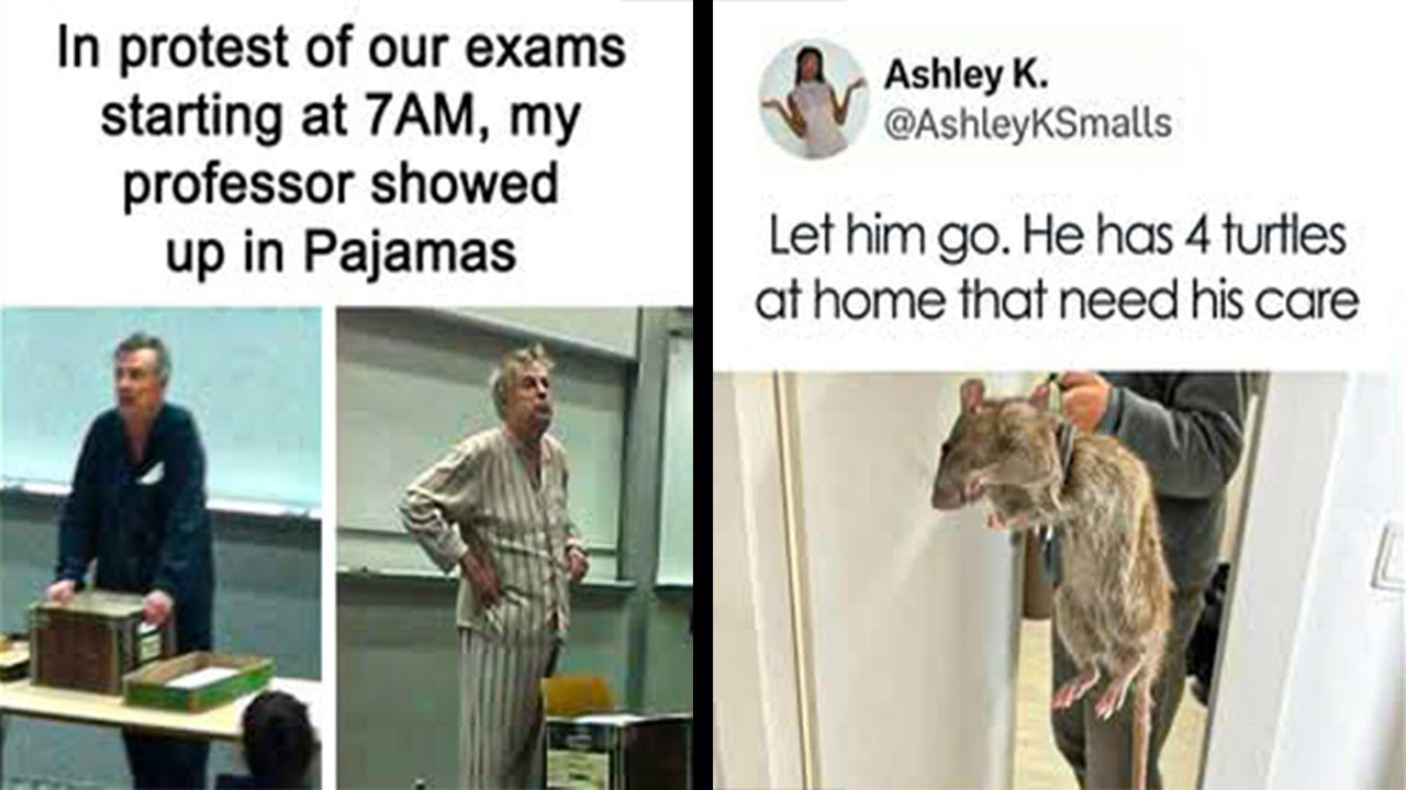 1.7M People Are Loving These Memes—Here Are The Top Picks! - YouTube