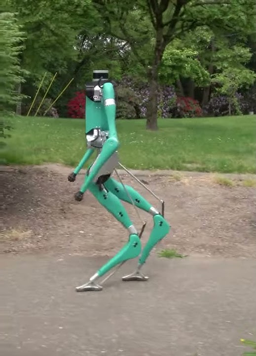 Walking Robot with Chicken Legs Digit from Agility Robotics - YouTube