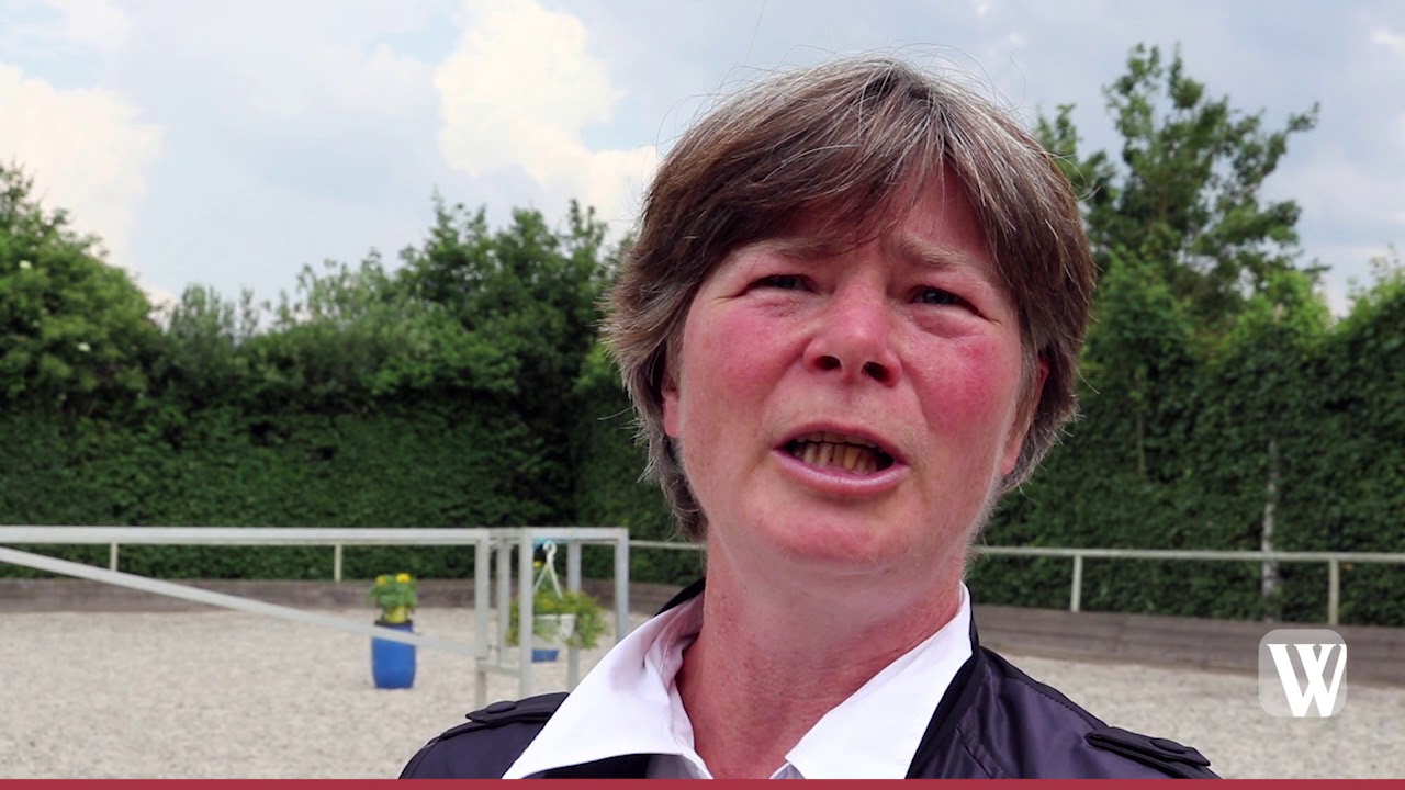 Sandra Will aus Idstein erklärt die Reitweise Working Equitation - YouTube