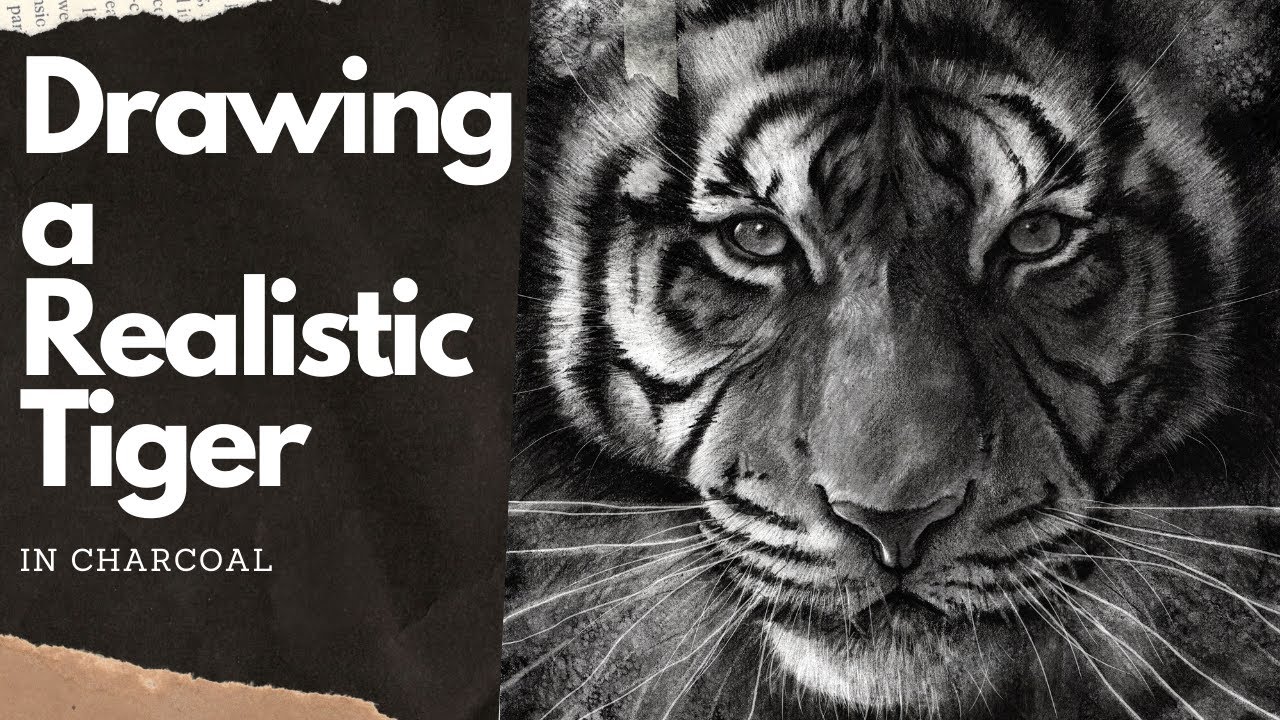 Buy Tiger Realistic Drawing In Stock buy-tiger-realistic-drawing-in-stock