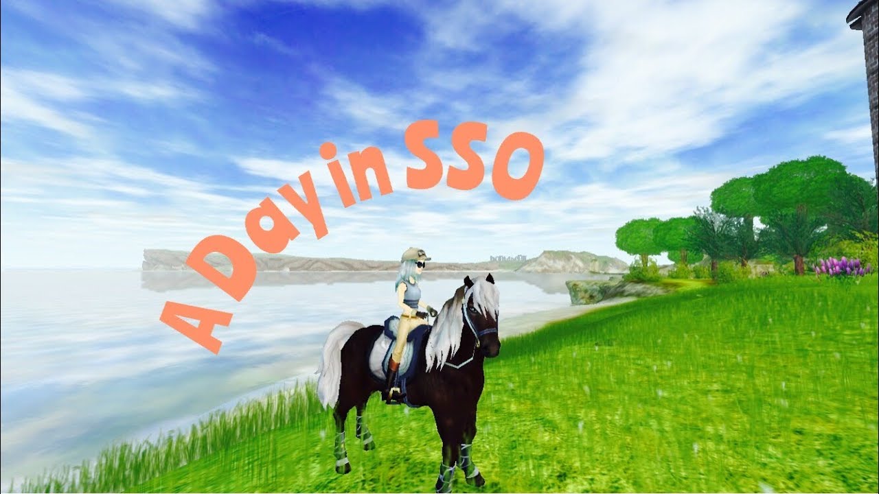 A Day in SSO - YouTube