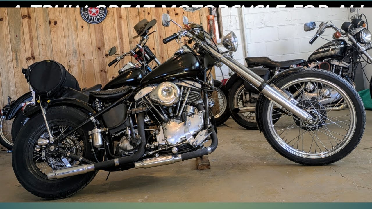 True Old School H-D Shovel Chopper - Can You Wrestle an Alligator ...