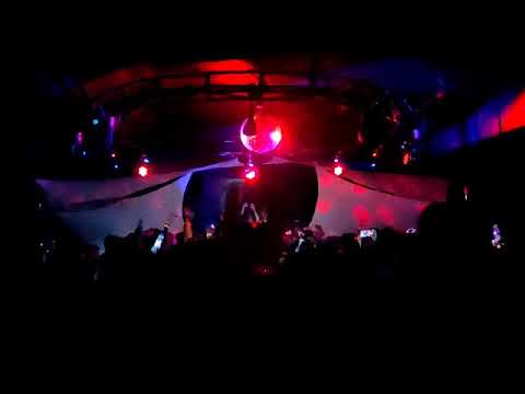 Kitty sue mumbai - goa gill