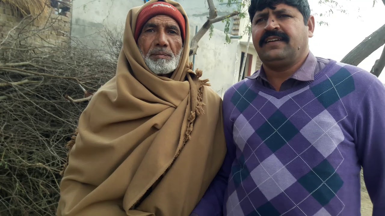 Pure Neeli Ravi buffalo for sale 31/12/2019/03047970076 - YouTube