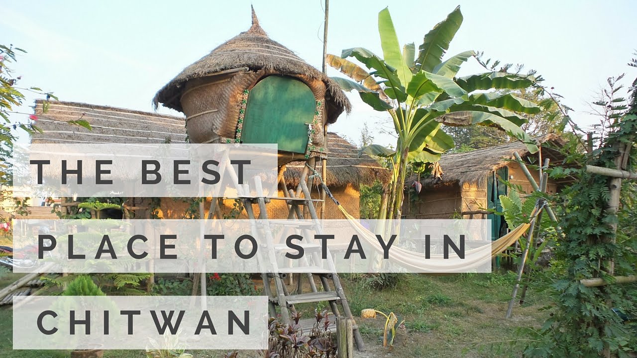 The Best Place to Stay in Chitwan - YouTube