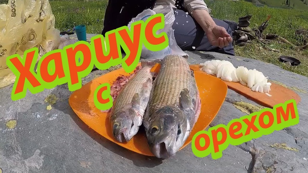 Хариус с кедровым орехом и золотым корнем Кулинарный рецепт Grayling ...