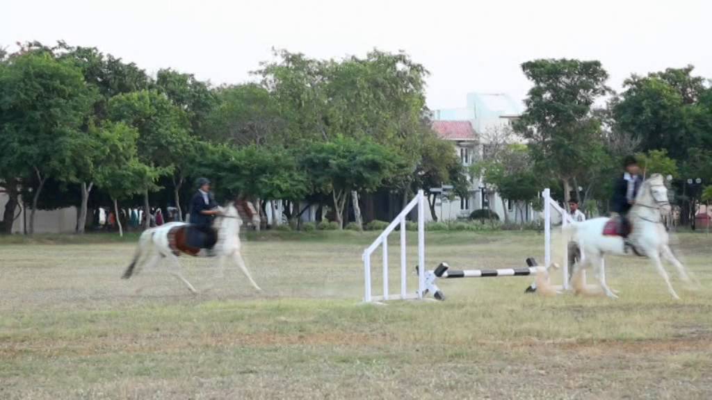 mody school horse riding - YouTube