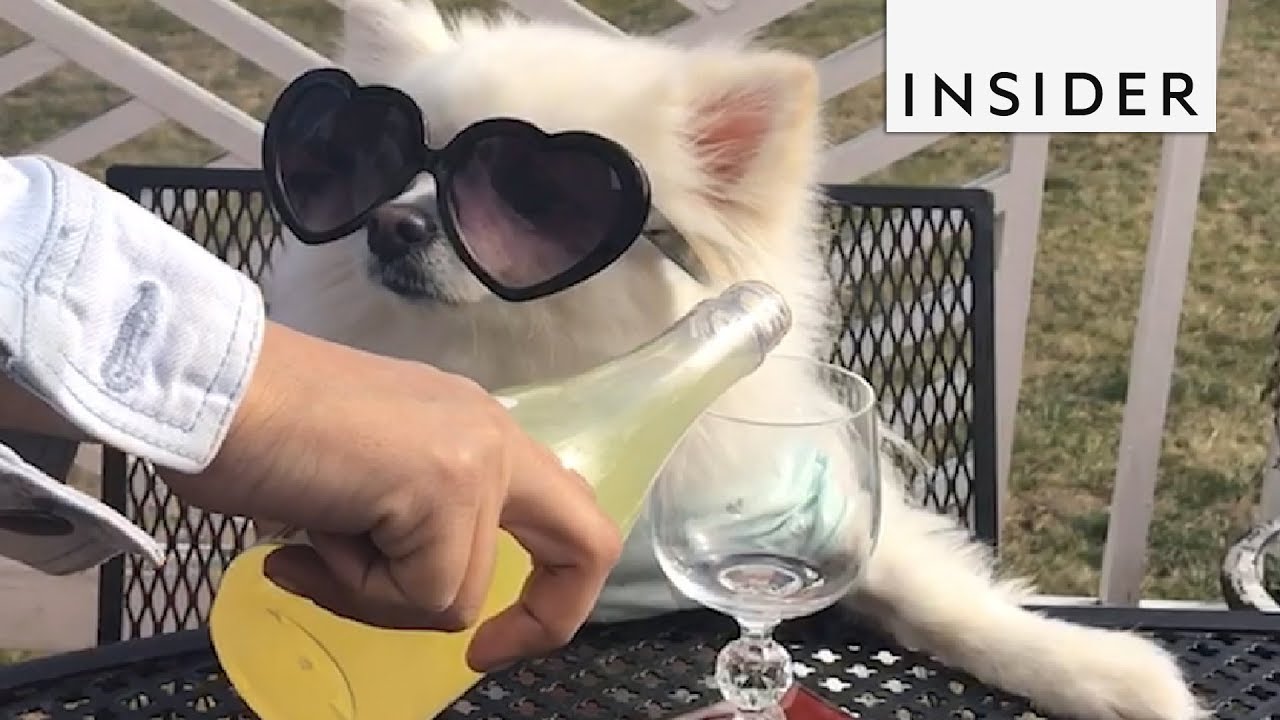 12 Things To Turn A Party Into A Rager - YouTube