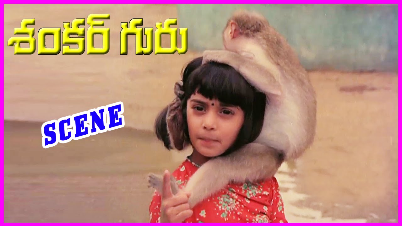 Shankar Guru Movie Scenes - Arjun , Seetha ,Rajini - YouTube