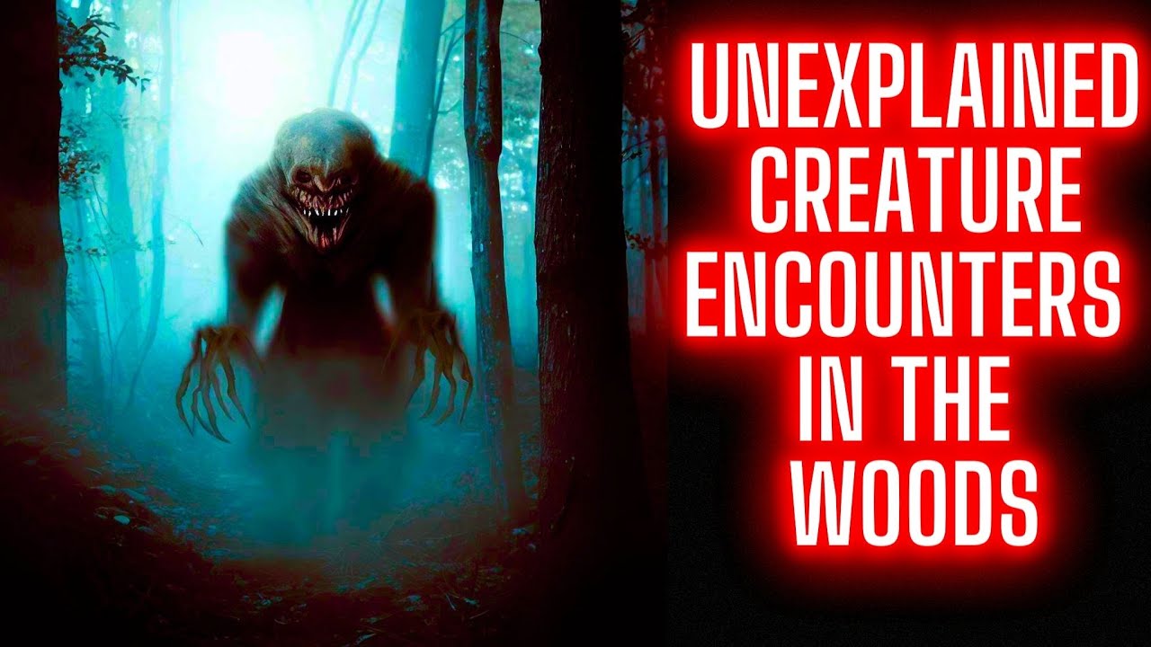 Unexplained Creature Encounters In The Woods - YouTube