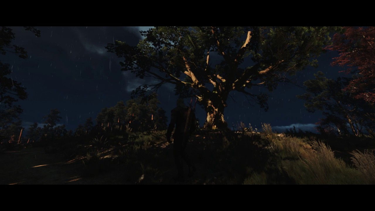 The Witcher 3 Modded - Walking at the rain - YouTube