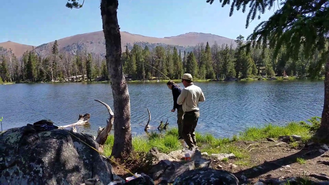 Gavin fishing with Uncle Bob in Copper Basin - YouTube