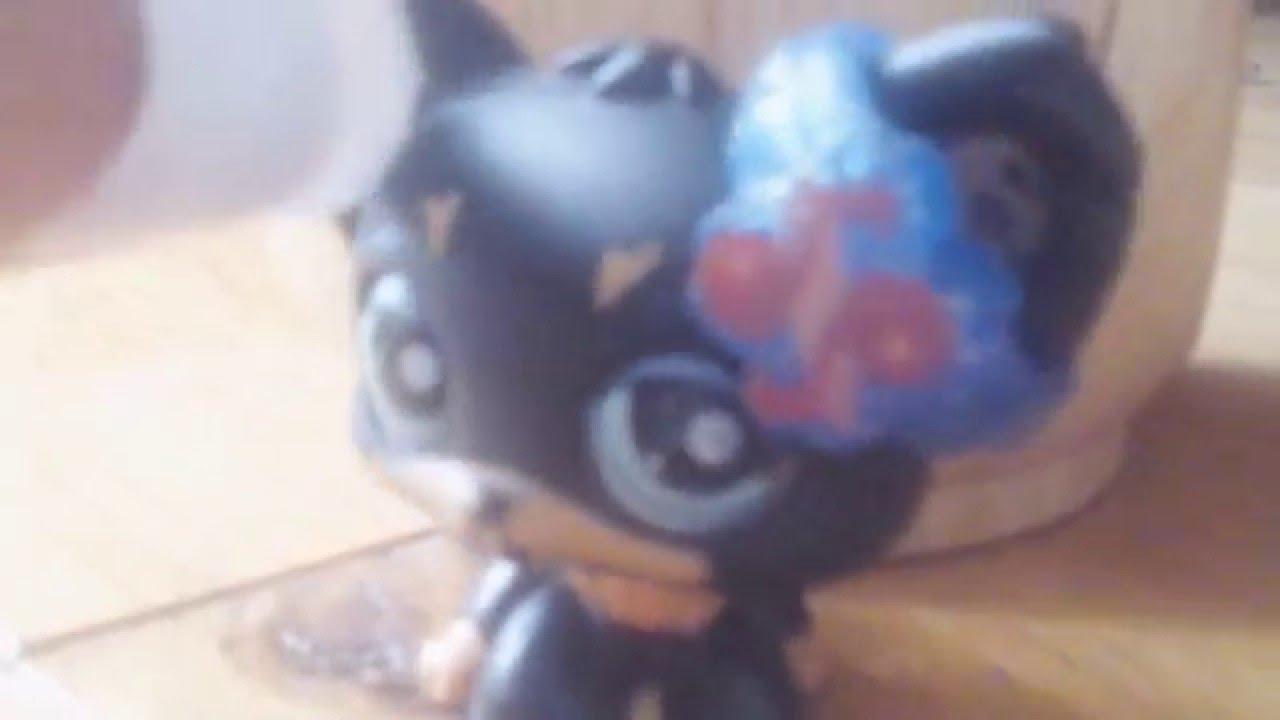 LPS: Questions.😋😋😋 - YouTube